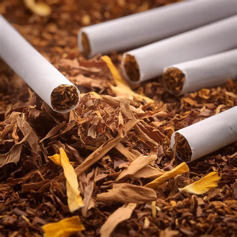 Tobacco Resources Cigarette