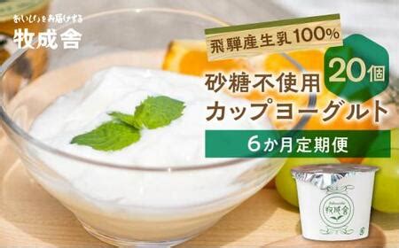 【6か月定期便】生乳100％ 砂糖不使用 プレーンヨーグルト 20個 牧成舎 朝食におすすめ 無糖ヨーグルト プレーンヨーグルト 砂糖不使用
