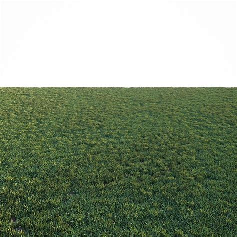 Simple Grass 3d Model For Fstorm