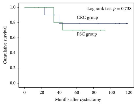 Comparisons Of Quality Of Life And Functional And Oncological Outcomes After Orthotopic