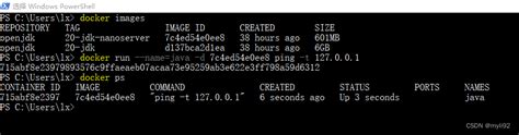 Docker Desktop容器无法启动dockerdesktop无法启动 Csdn博客