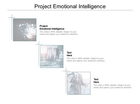 Project Emotional Intelligence Ppt Powerpoint Presentation Professional Demonstration Cpb