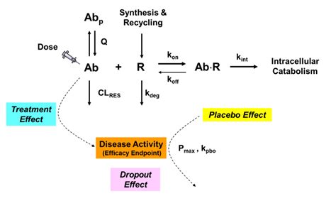 安渡云课堂 Fda批准anifrolumab治疗红斑狼疮：计算机模型指导创新药物成功研发的典型案例