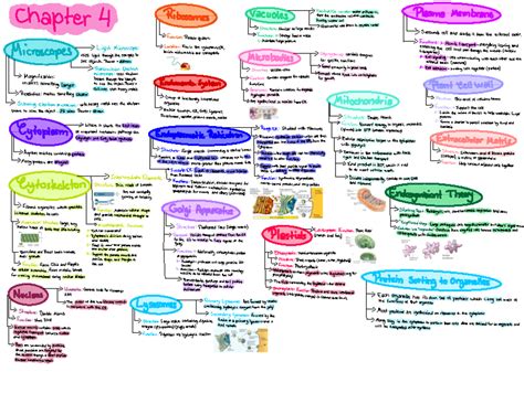 Notes Biochem É Is os z P s EE s s f S o ae of s s I on