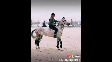 ცხენი და ადამიანი აი ასეთი უნდა იყოს ადამიანი Youtube