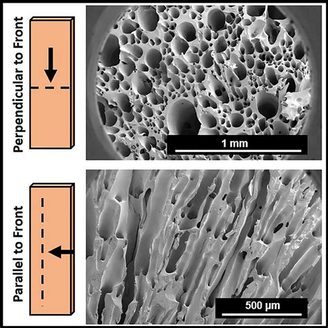 High Performance Foams And Their Nanocomposites Generated Via Liquid