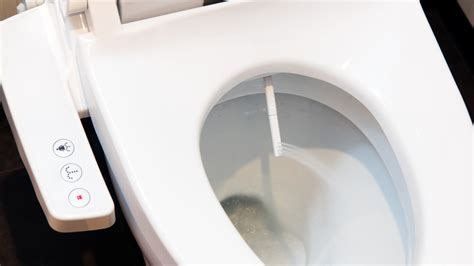 What Is A Japanese Toilet And Why Do You Need One