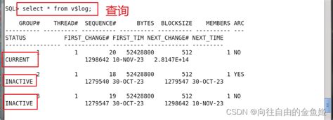 Oracle数据库日志操作与归档模式 Csdn博客