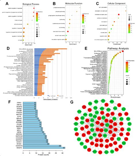 Go Functional Annotation And Kegg Pathway Enrichment Analyses And Hub Download Scientific