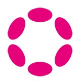 Polkadot Auctions And Crowdloans