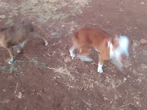 Img 20220916 185518 Exif Jpeg 420 Robert Wallner Flickr