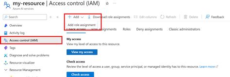 如何使用 Azure Ai Foundry 代理程式服務搭配 Openapi 指定的工具 Azure Ai Foundry