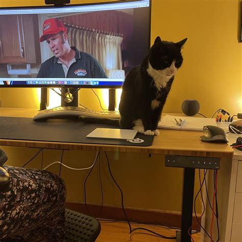 Cat O Ween Inside The Red Heads Head