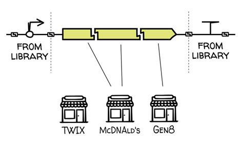 Dna Construction Strategies From Graph Algorithms Bricks And Scissors