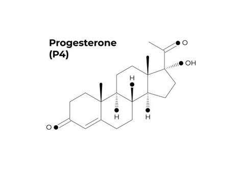 Progesterone Illustrations Royalty Free Vector Graphics And Clip Art