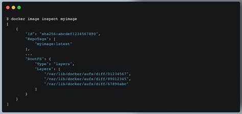 How Containers Actually Works Container Image