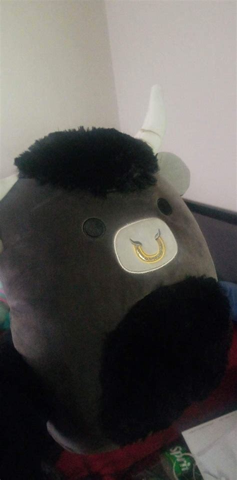 The High Council Of Moo Has A New Member R Squishmallow