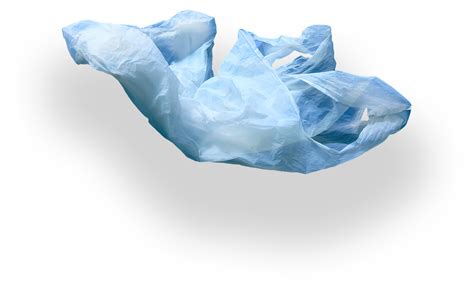 둥둥 떠다니며 먹이로 둔갑된