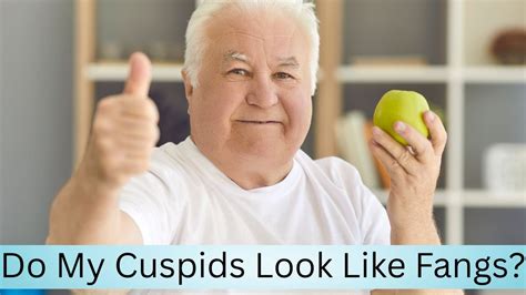 Do My Cuspids Look Like Fangs The Dental Healers