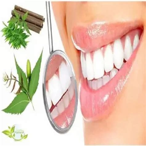 Mesua Ferrea Green Ayurvedic Natural Organic Neem Datun Toothbrush Nim
