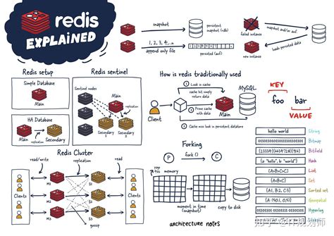Redis 入门 简介 知乎