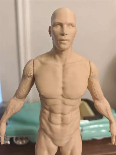 Anatomy Muscle Structure Model For Carving Sketching And Painting