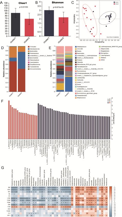 Core Microbe Bifidobacterium In The Hindgut Of Calves Improves The