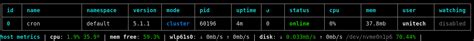 Componentpedia Pm2 Nodejs Open Source Component Meterian Boost Open