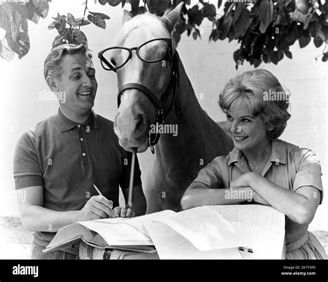 Alan Young Mister Ed And Connie Hines Television Mister Ed Tv Serie