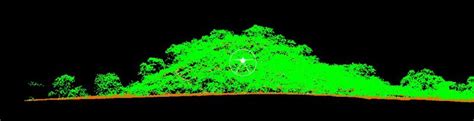 Cad Mapping Pty Ltd On Linkedin Cadmapping Pointcloud Lidar Conservation Environmental