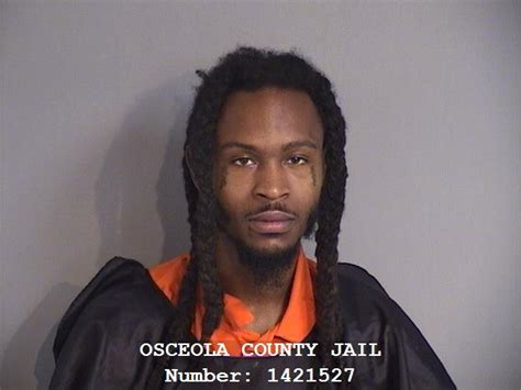 Osceola County Corrections Search