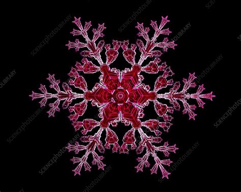 Stellar Dendrite Snowflake Light Micrograph Stock Image C Science Photo Library
