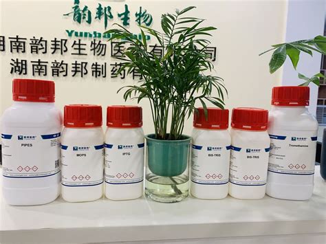 Application Of Biological Buffer Bis Tris In Creatine And Muscle Enzyme