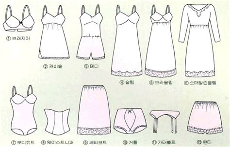 여성속옷 여성속옷의 변천사 란제리는 언제 생긴건가요속옷의 종류 네이버 블로그