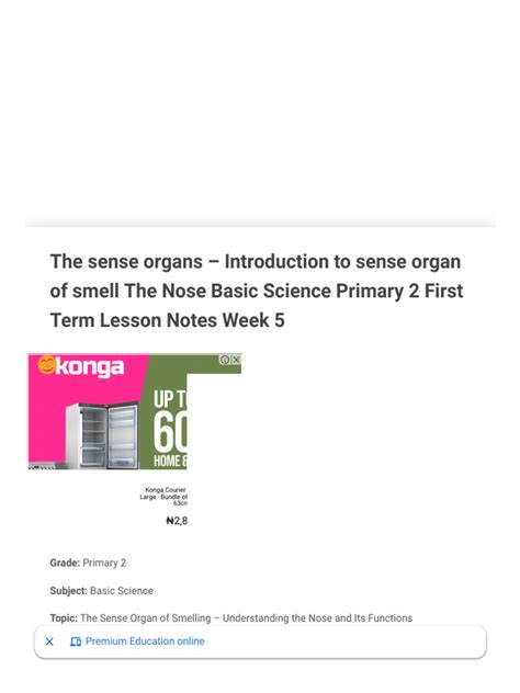 The Sense Organs Introduction To Sense Organ Of Smell The Nose Basic Science Primary 2 First
