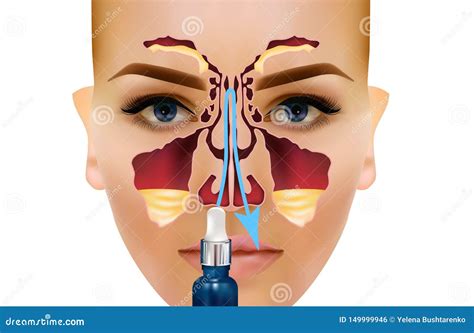 Inflammation Of Nasal Mucosa Thin Line Icon Human Diseases Concept