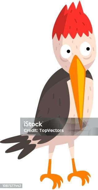 흰색 바탕에 귀여운 재미 딱따구리 새 만화 문자 벡터 일러스트 레이 션 귀여운에 대한 스톡 벡터 아트 및 기타 이미지 귀여운