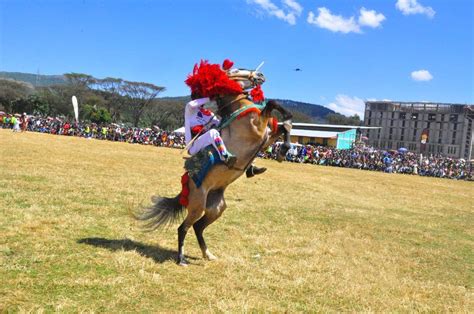 The Awi Ethnic Culture Celebration Of Agew Horsemen Joram Jojo