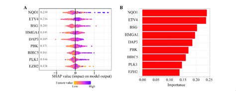 Contributions Of Anoikis Related Genes To The Risk Score By Machine Download Scientific Diagram