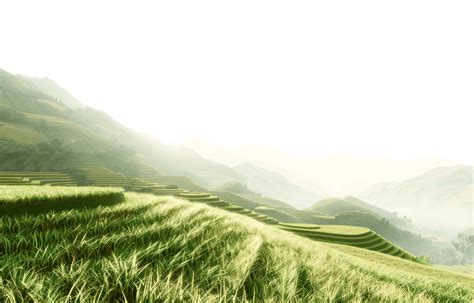 What Is Happy Water On Ha Giang Loop And How To Drink It Like A Local Ha Giang Loop