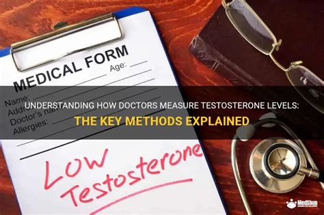 Understanding How Doctors Measure Testosterone Levels The Key Methods