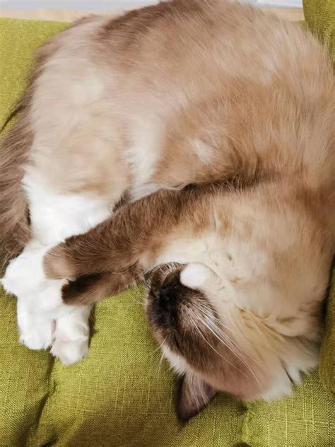 复试and调剂and学习java三线操作的记录 知乎