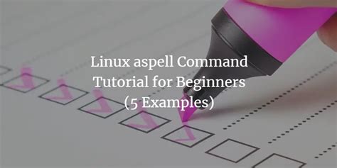 Linux Aspell Command Tutorial For Beginners 5 Examples