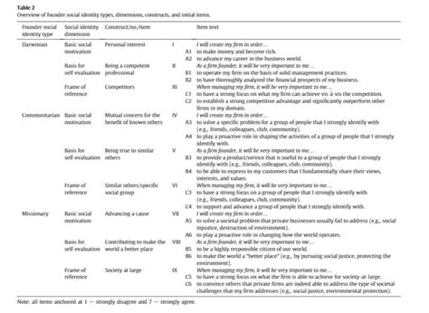 Overview Of Founder Social Identity Types Dimensions Constructs And