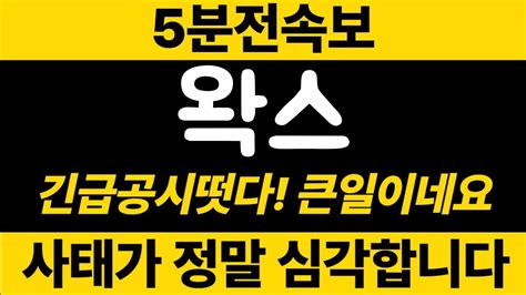 왁스 5분전 긴급 속보 긴급공시떳다큰일이네요 사태가 정말심각합니다 왁스 왁스코인전망 왁스코인 Youtube
