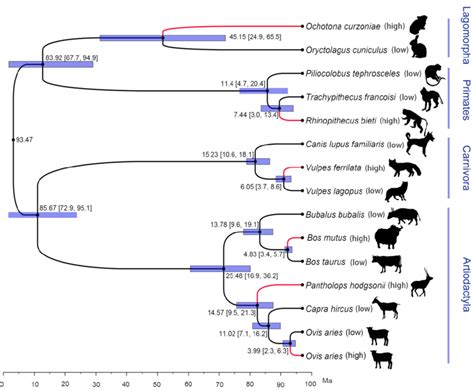 Phylogenetic Relationship And Divergence Time Estimation Of Six