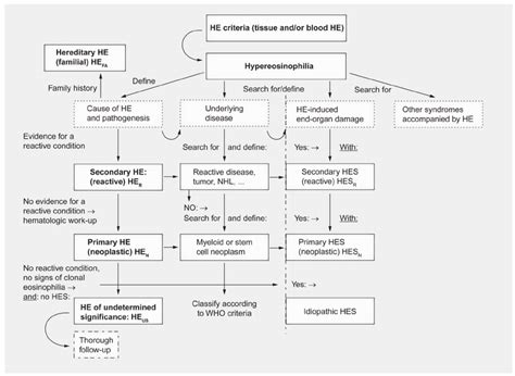 Diagnostic Algorithm For Patients With Hypereosinophilia Download Scientific Diagram