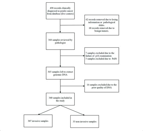 Flow Diagram Of Patient Identification And Selection Download