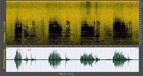 spectrogram and time display of four sand martin chirps time scale 0