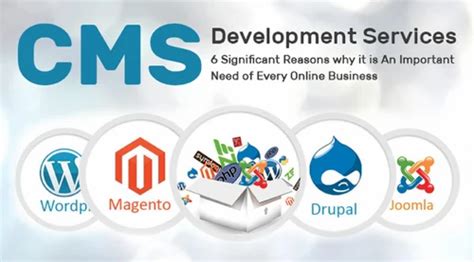 Web Cms Development Services At Best Price In Agra ID